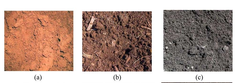 Cara Mengenali Struktur Tanah dan Manfaatnya untuk Lingkungan - BisnisTani